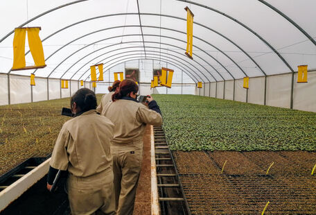 Stories | Jacobs Farm / del Cabo