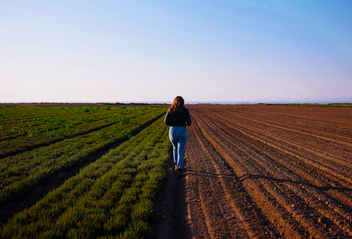 Jacobs Farm | Jacobs Farm / del Cabo